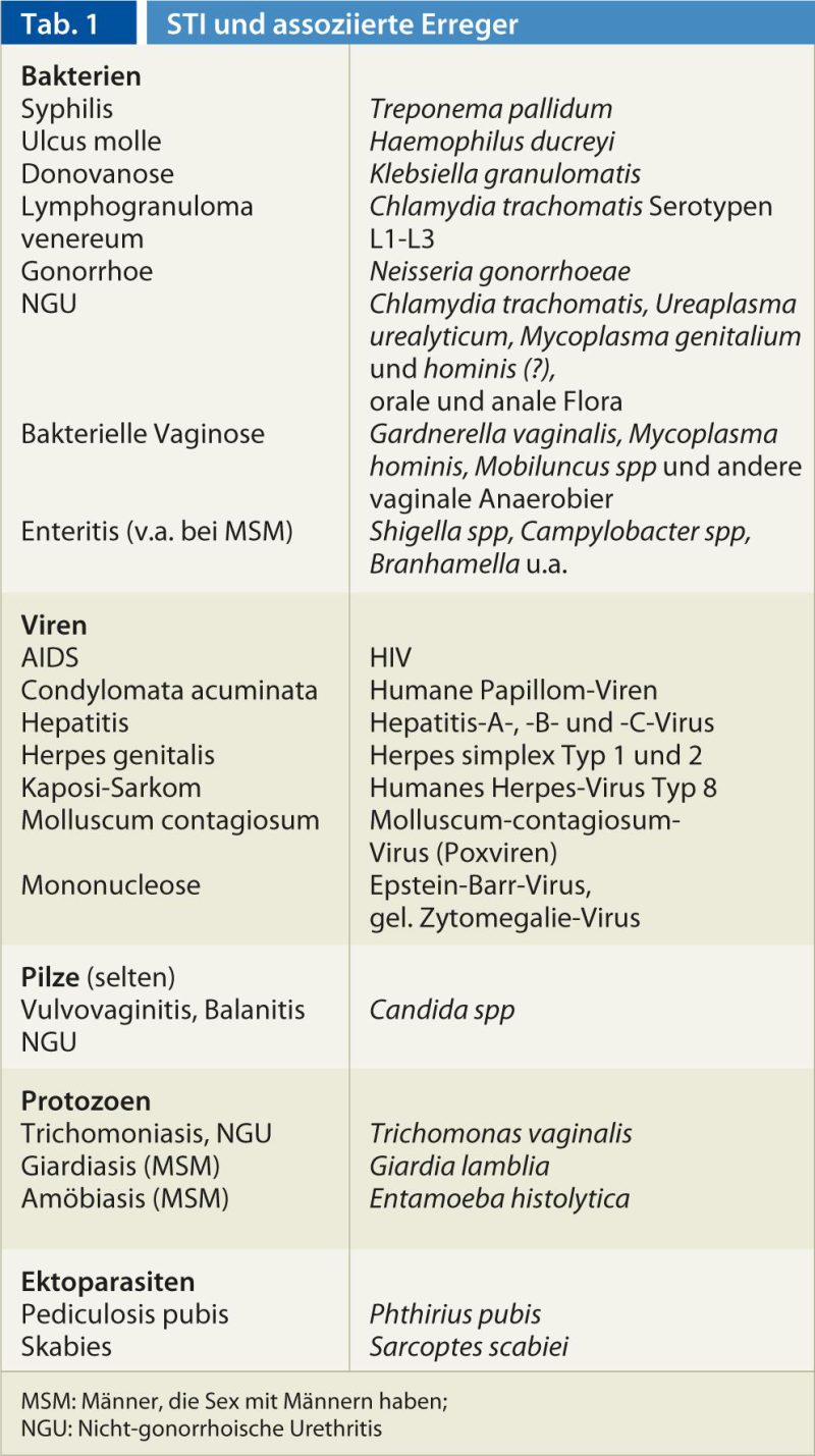 Screening and sexual history gain importance - Medizinonline