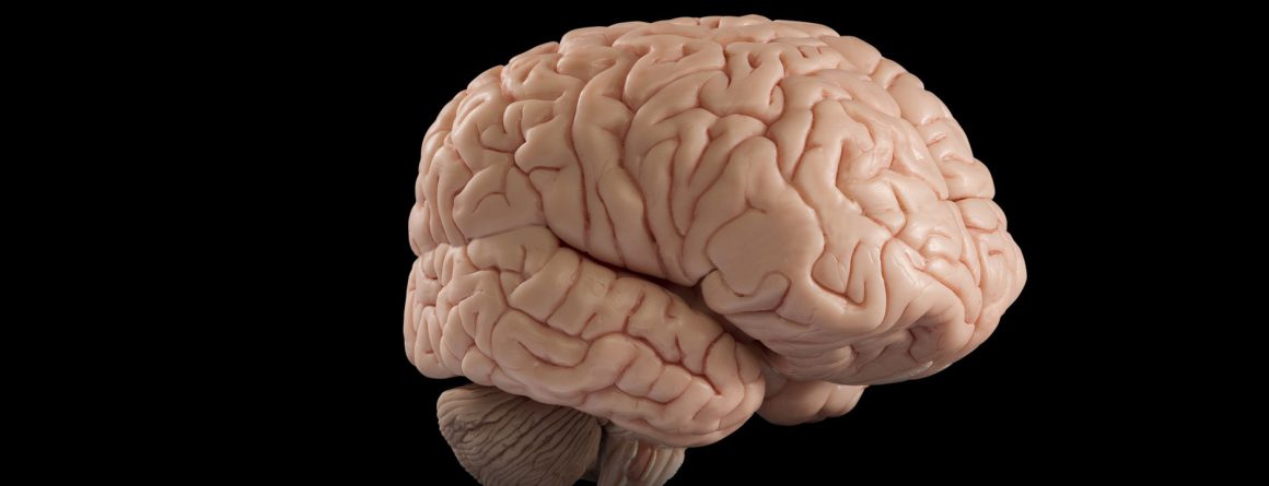 Le médulloblastome chez l'enfant : diagnostic et traitement - Medizinonline