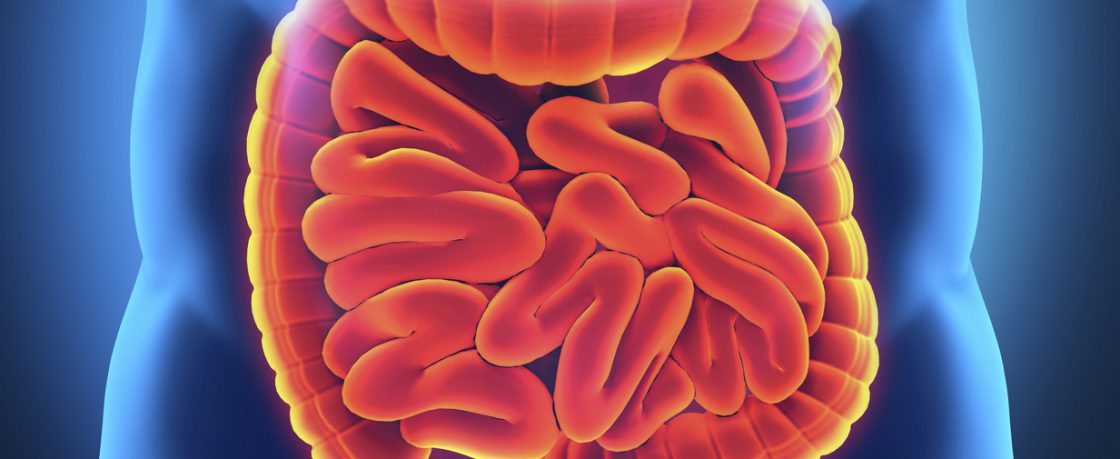 Enfermedades intestinales inflamatorias crónicas - Medizinonline