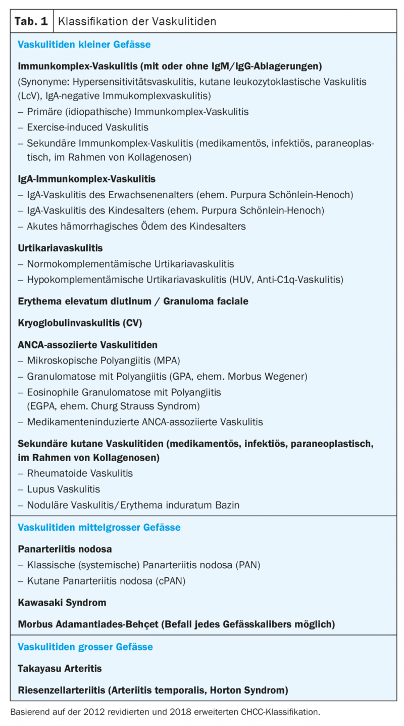 Cutaneous Vasculitis - Update for the Practice - Medizinonline