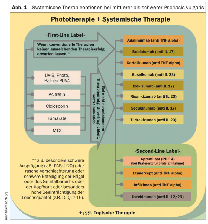 Patient-adapted biologics therapy - What does the new S3 guideline say ...