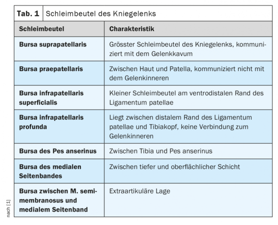 Peripatellar pain - Bursitis prepatellaris - Medizinonline