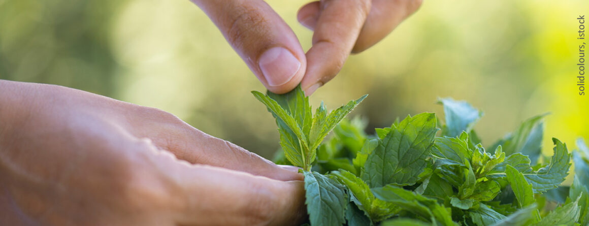 New secondary analysis confirms effective symptom relief - Medizinonline