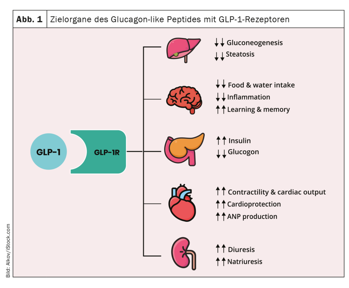 Semaglutide in oral form convinces in everyday practice - Medizinonline