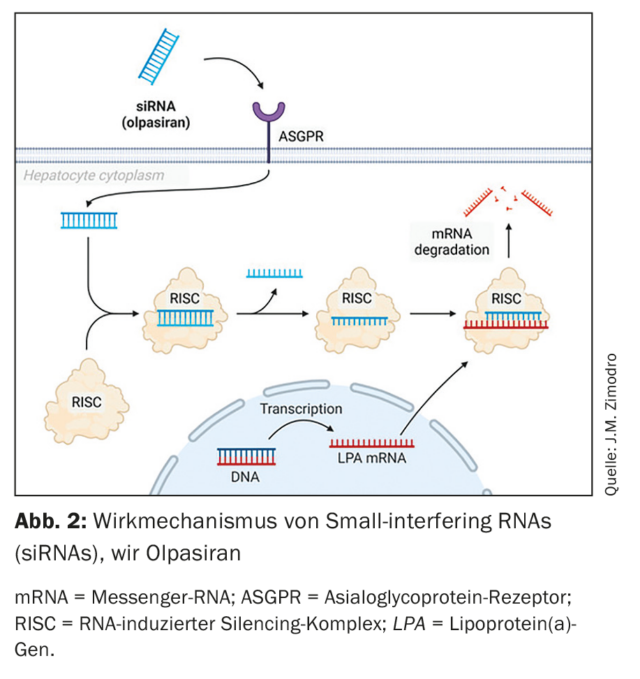 Current and future treatment options - Medizinonline