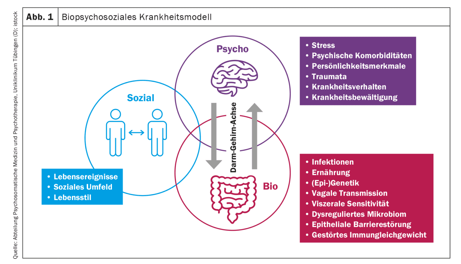 Guideline-based therapy of IBS according to the biopsychosocial model ...