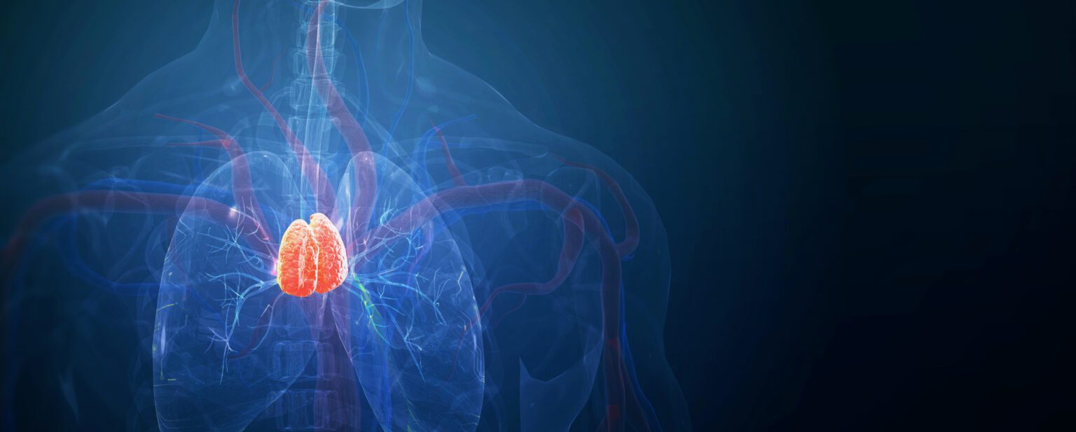 El pie diabético infectado - diagnóstico y tratamiento - Medizinonline