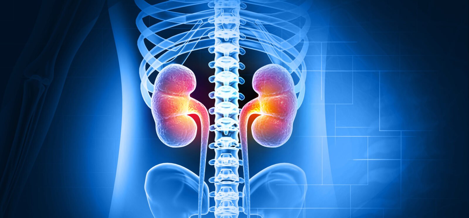 Results of the population-based PREEMPT-CRC study - Medizinonline