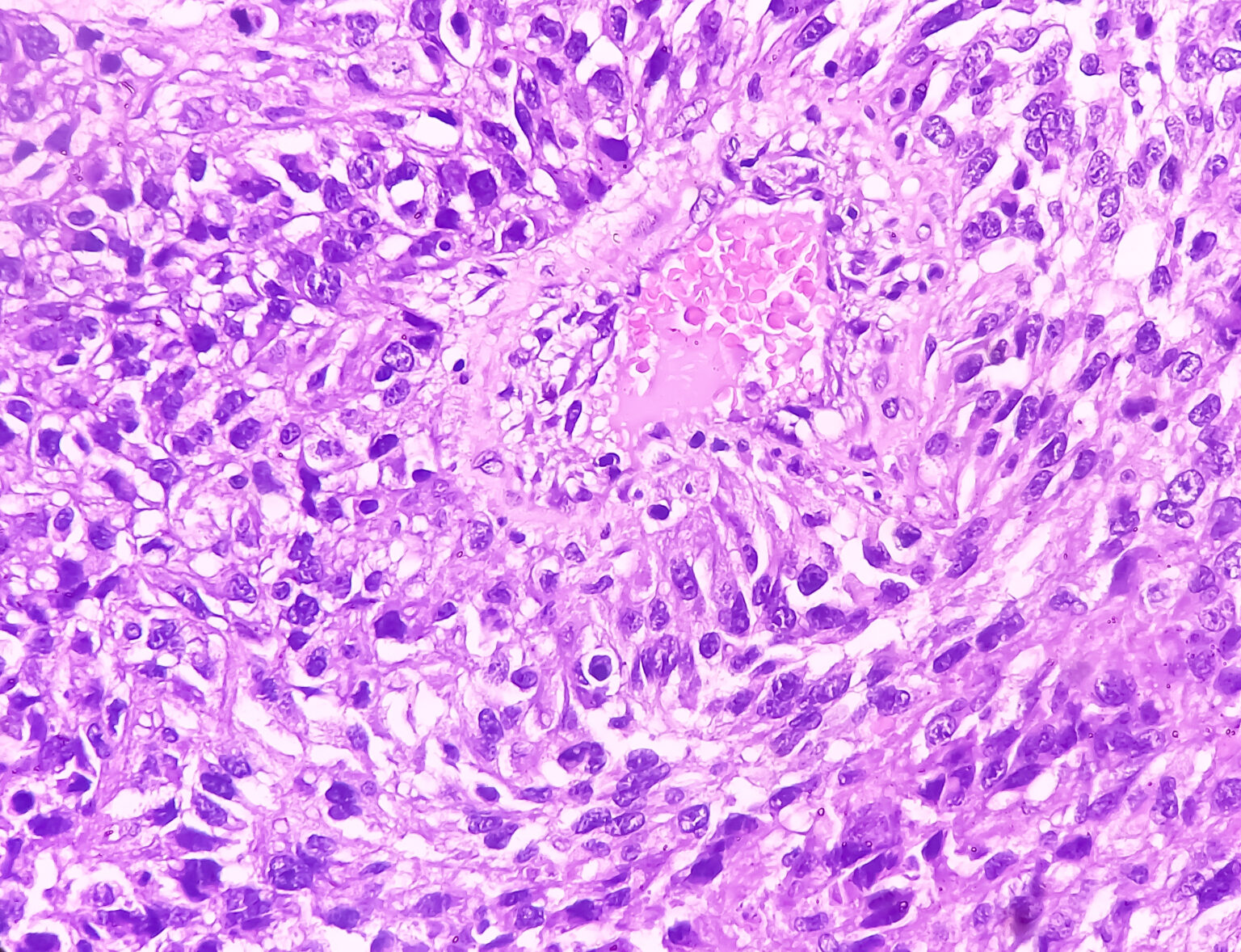 Patient orientation as a basic principle - Medizinonline