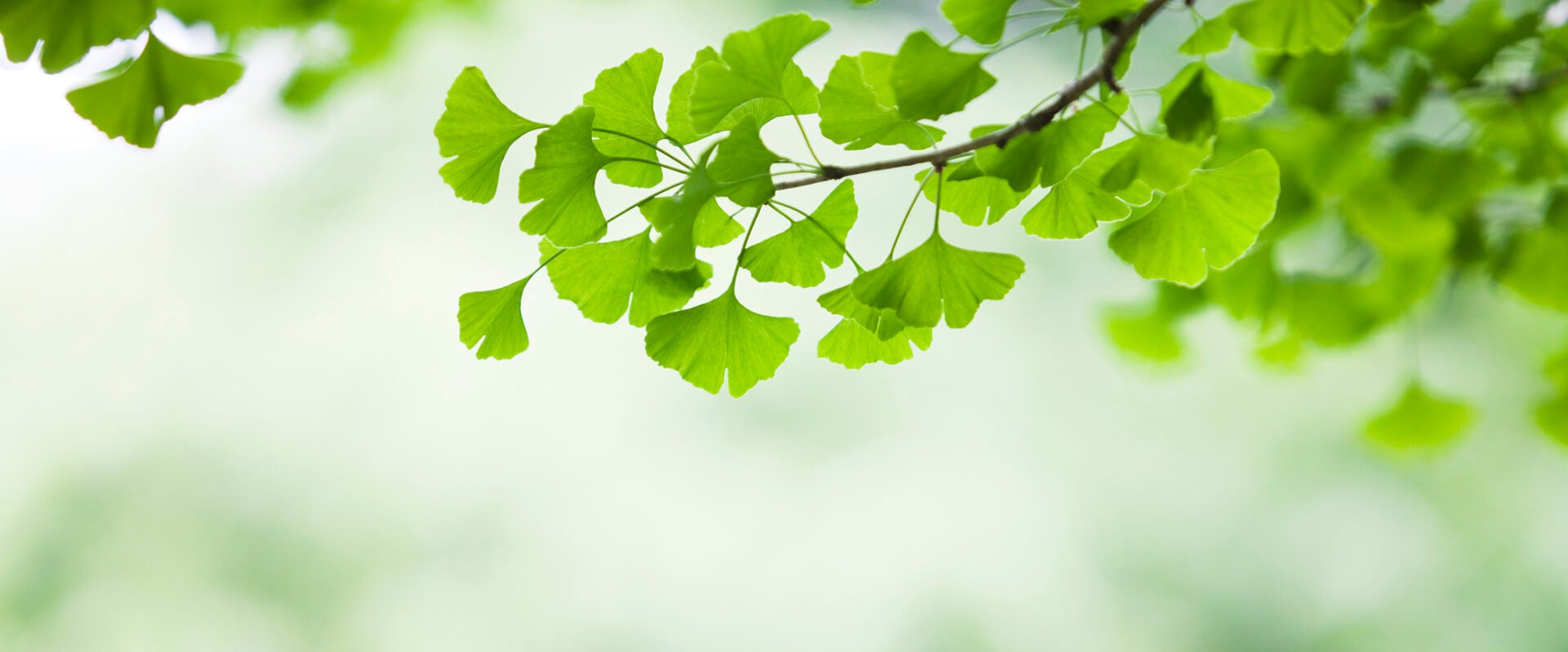 Control instead of a flood of data: AI makes big data and wearables ...